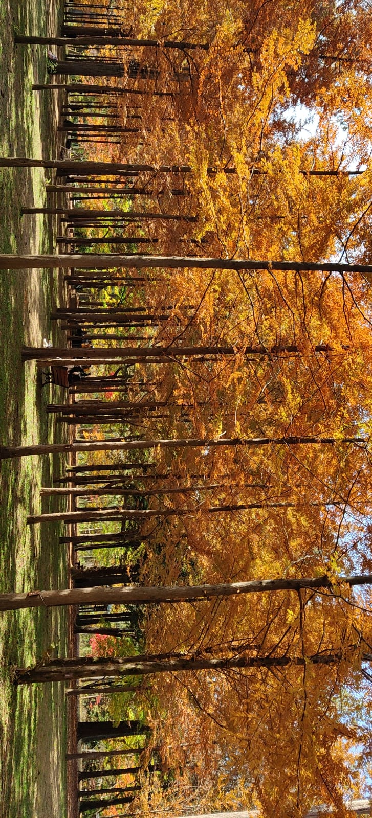 TRAVELS || JULHAS SUJAN