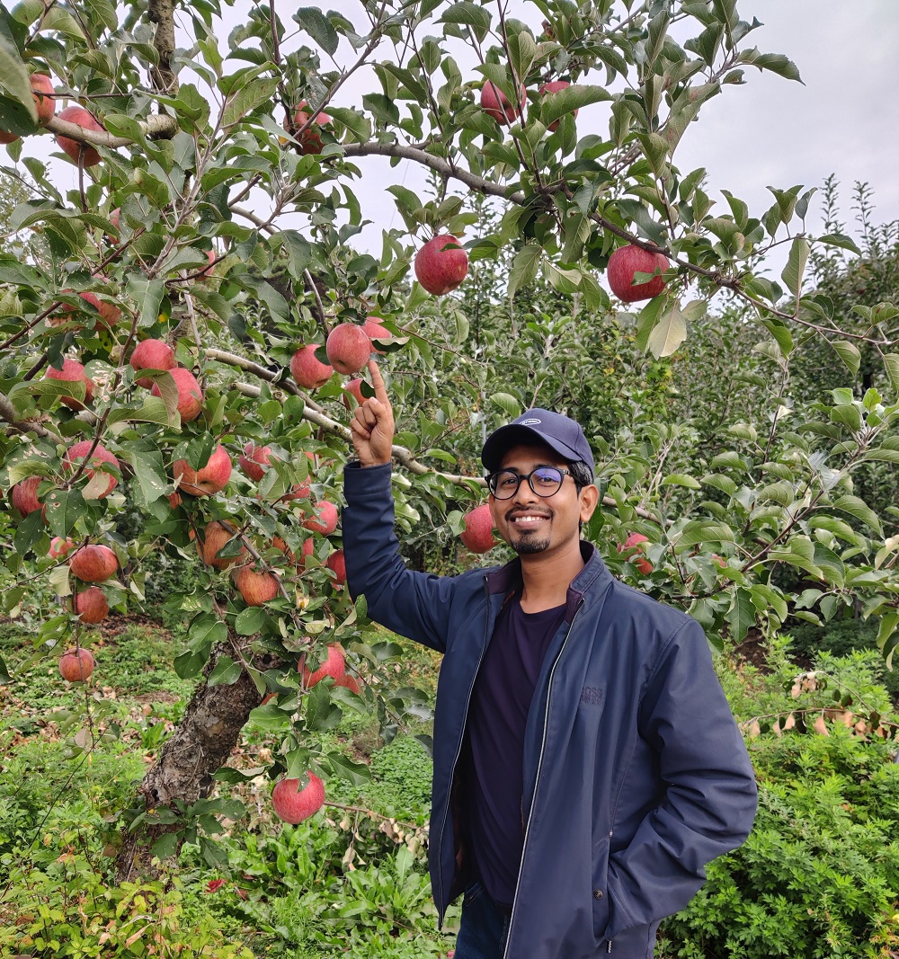 Yeongju Visit - Buseoksa Temple